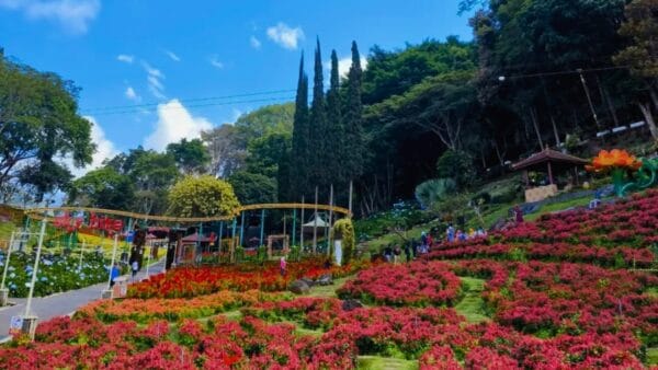 Taman Rekreasi Selecta Malang: Panduan Lengkap, Info Tiket, Akses, Tips ...